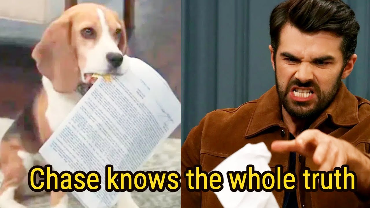 Outback ruins Quartermaine’s Thanksgiving feast with a truth for Chase ...